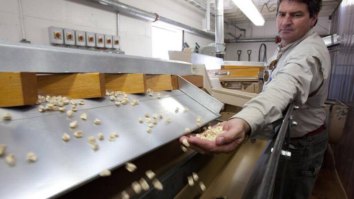 Family of woman killed at Treasure Valley seed company can’t sue, Idaho ...