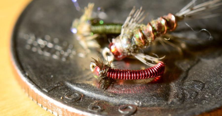 Miracle of Midges: Tiny Insects Play Big Role in Trout Diet