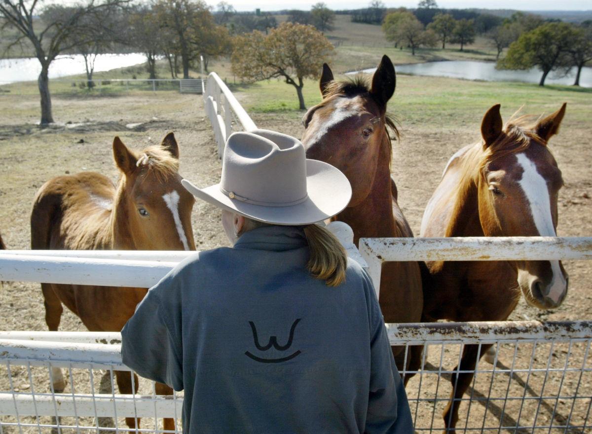 Billionaire Alice Walton Puts Texas Ranch Up for Sale | Southern Idaho ...