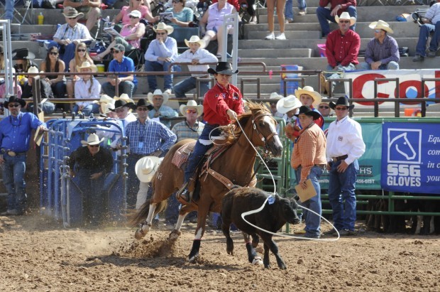 Gooding Junior Cowboy Wins AQHA Prize