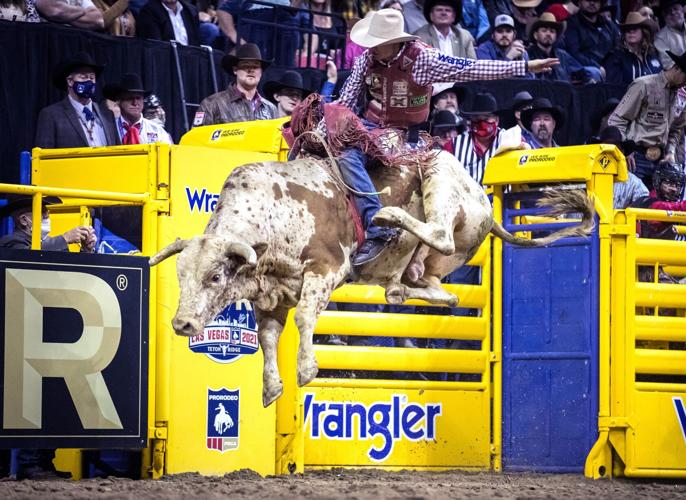 Bring on the bulls: Idaho cowboy Jarboe is ready to ride again after ...