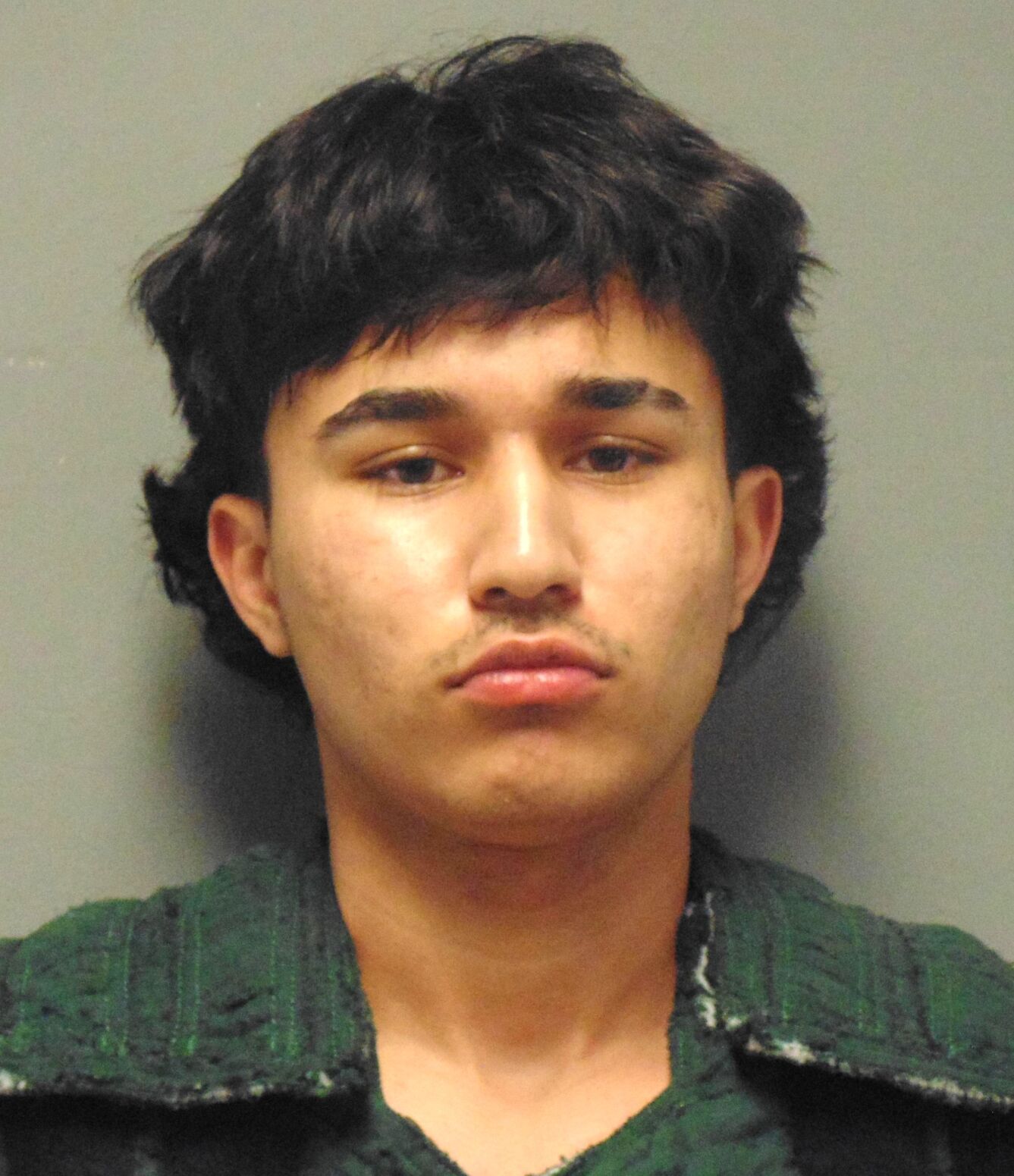 Police: Meridian man driving stolen vehicle backs into Twin Falls ...
