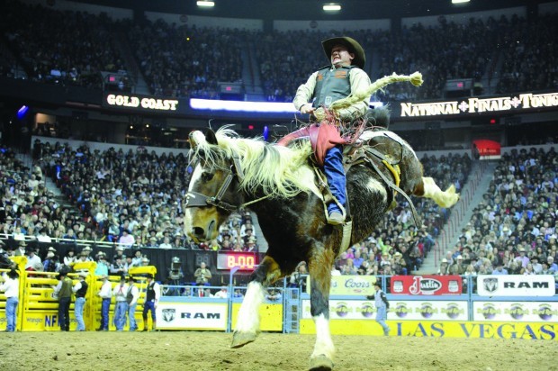 CSI’s Cowboys Shine at Rodeo Finals