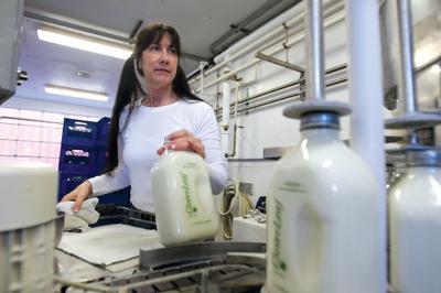 Cloverleaf Creamery to Launch Yogurt Line