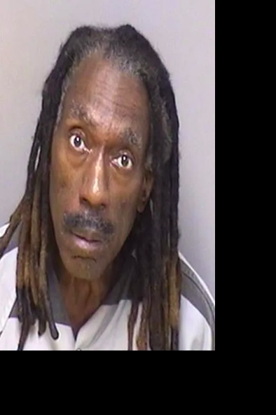 Dave Matthews Band violinist Boyd Tinsley has legal guardian