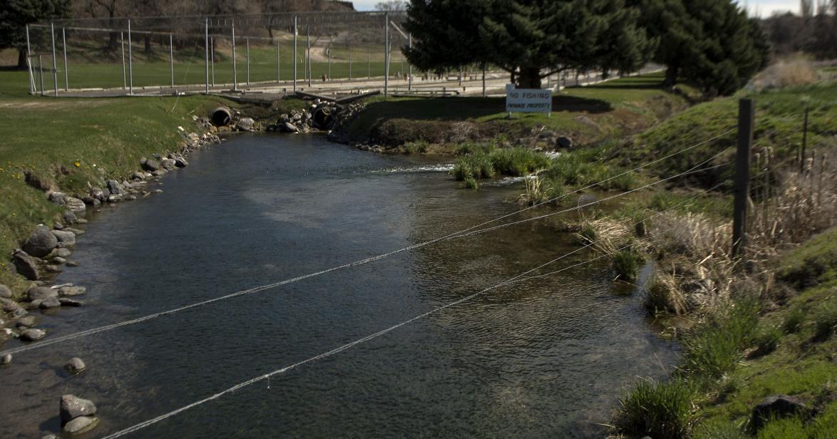 Groundwater users purchase Rangen's Hagerman fish farm