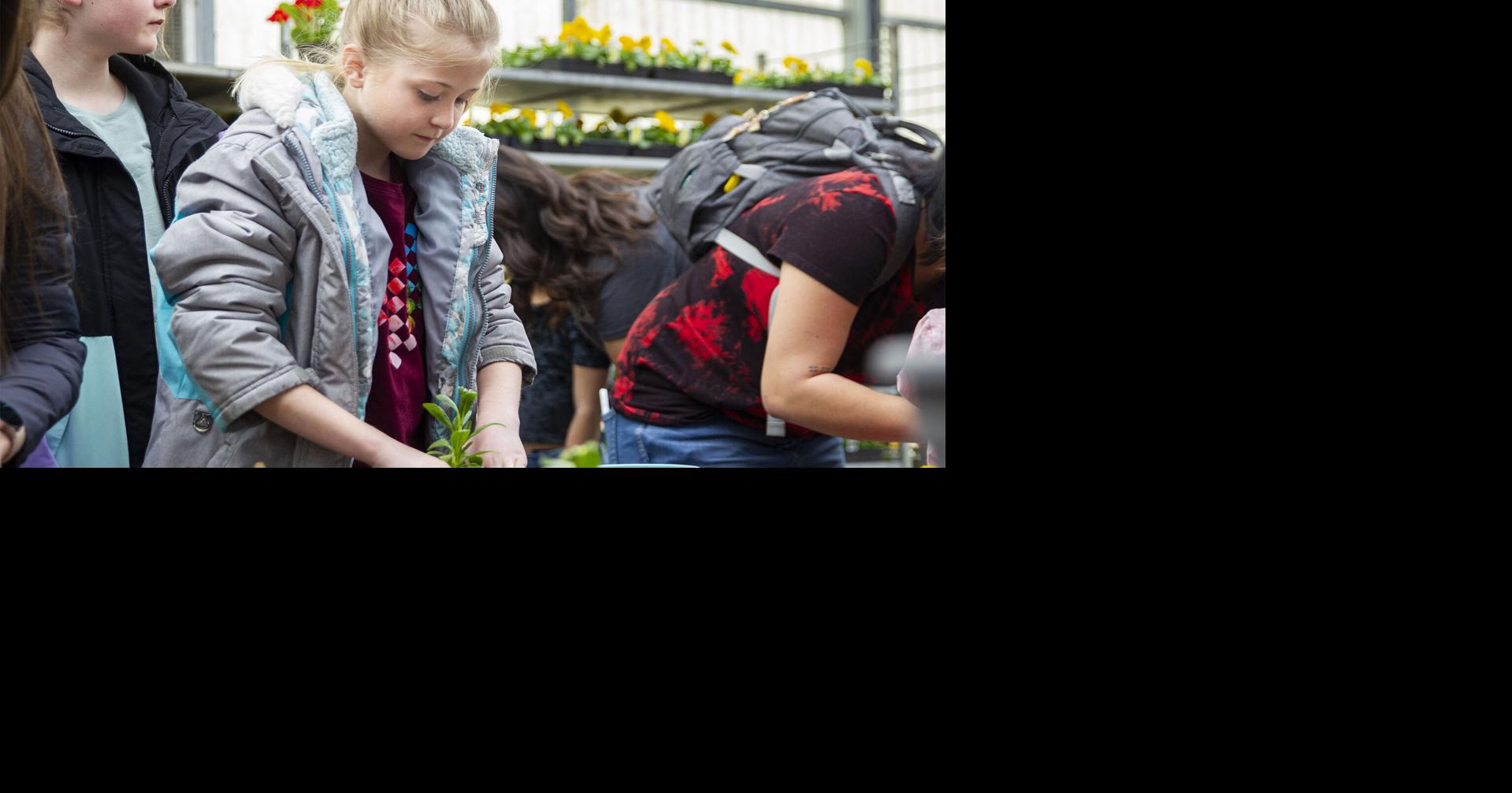 Moss Greenhouses host Easter flower planting