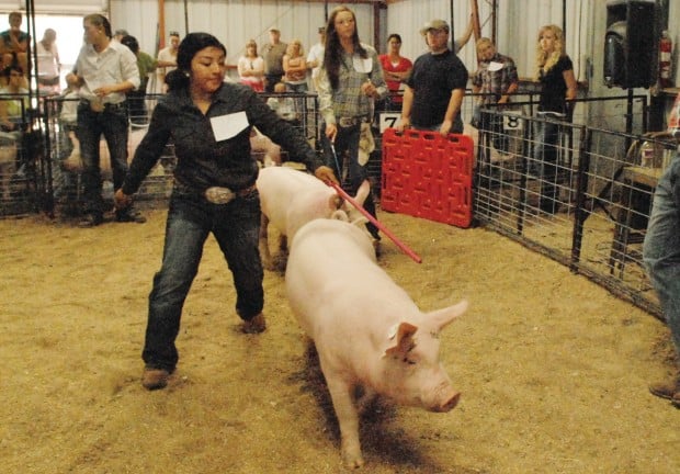 11-year-old Takes Swine Showmanship Grand Champion
