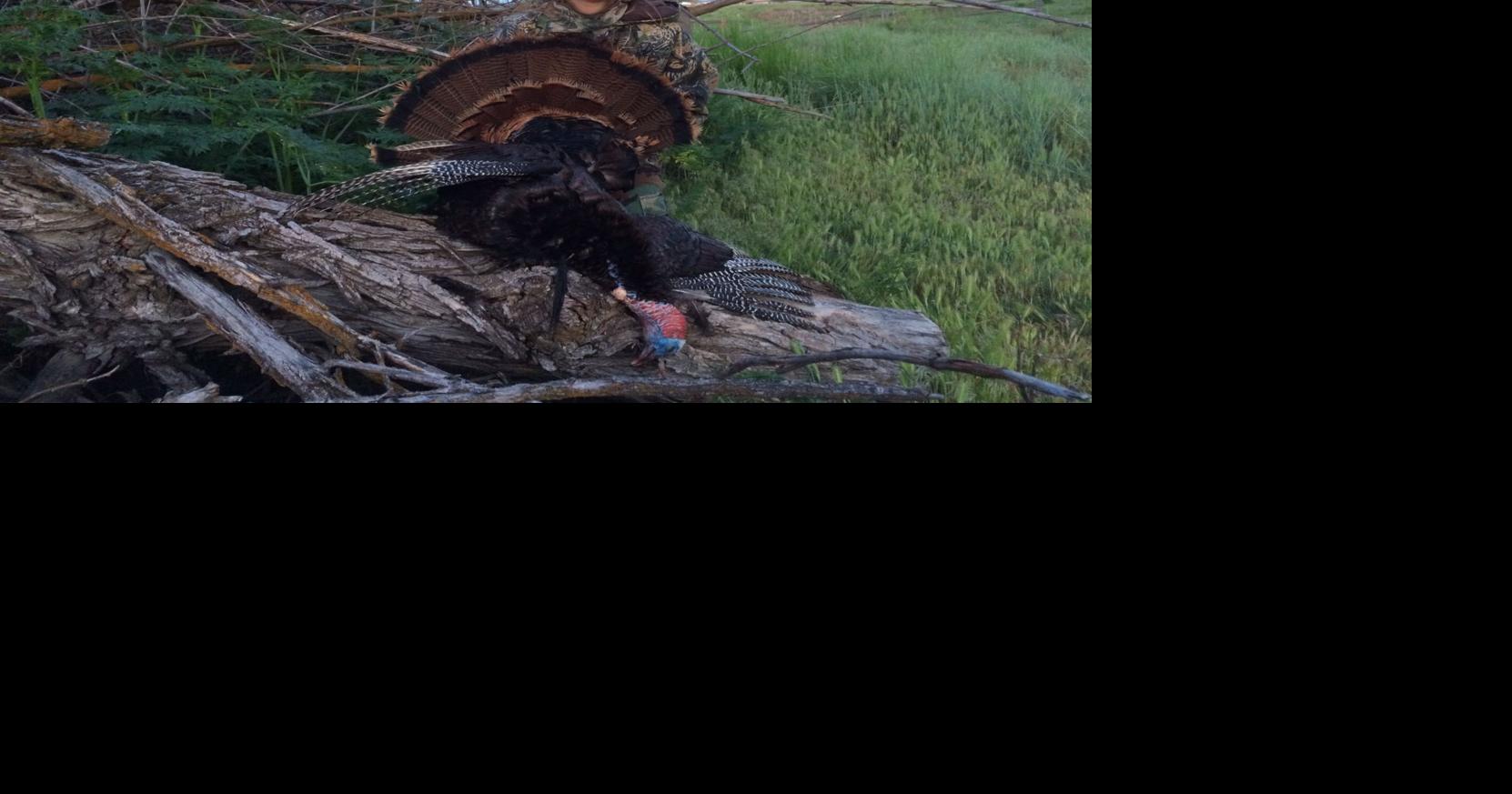 Applications for 2022 spring turkey controlled hunts open