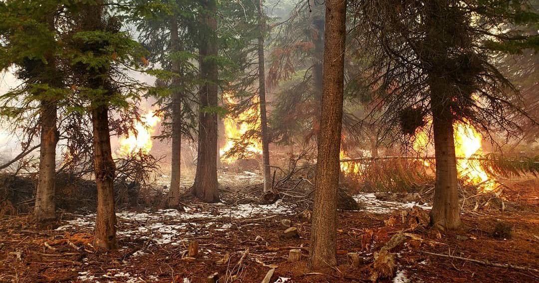 2020 Fall slash pile burning begins for Sawtooth NRA and Ketchum Ranger ...