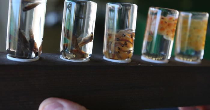 Gallery: Hagerman National Fish Hatchery Turns 80