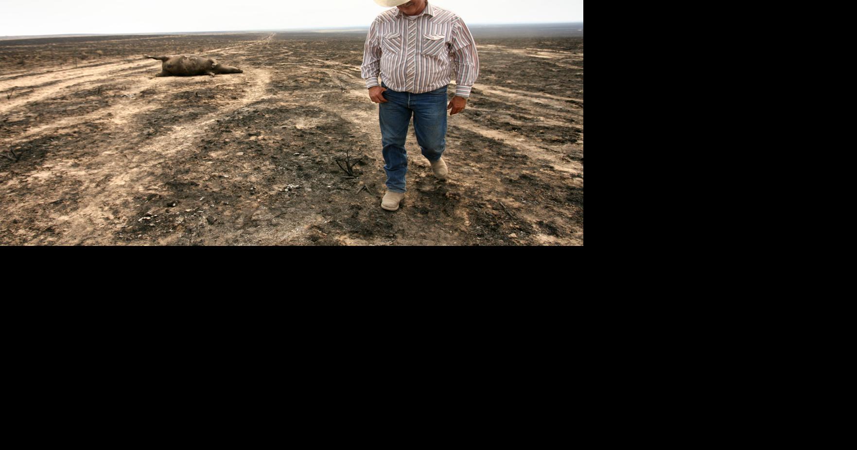 10 years later: The legacy of Idaho's huge Murphy Complex Fire