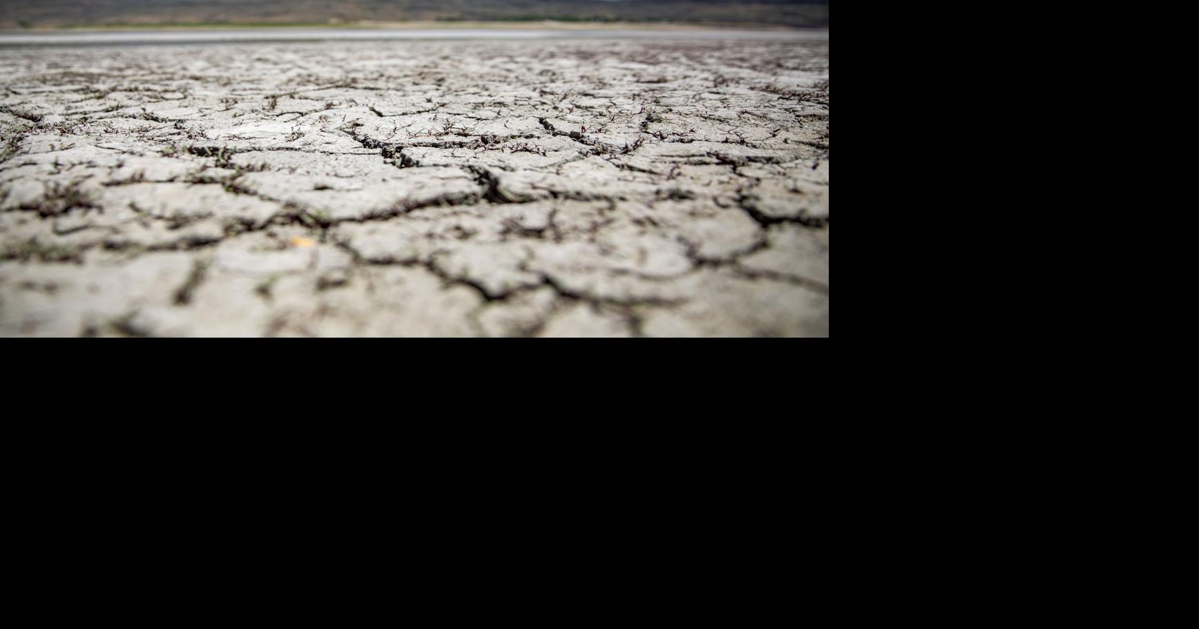 Irrigation companies worry about 'scary' drought conditions this year ...