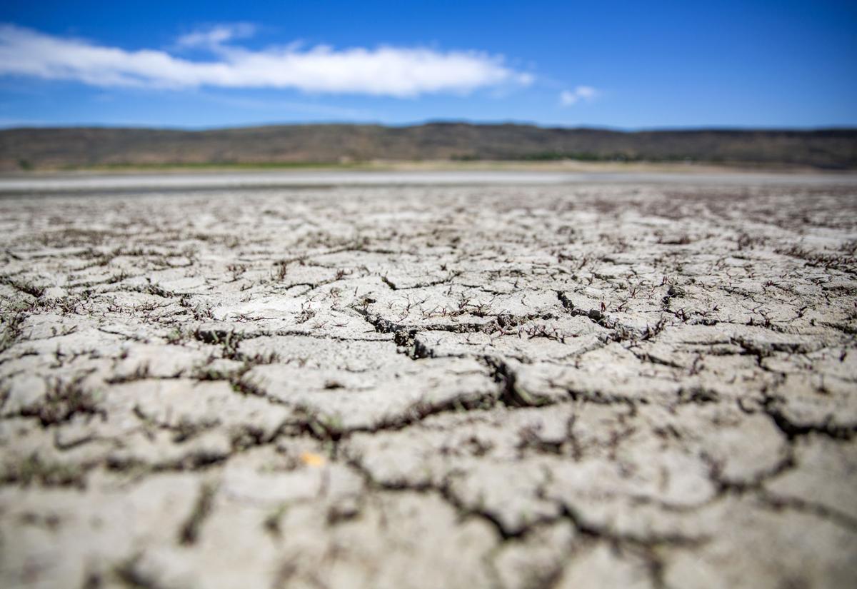 Irrigation companies worry about 'scary' drought conditions this year ...