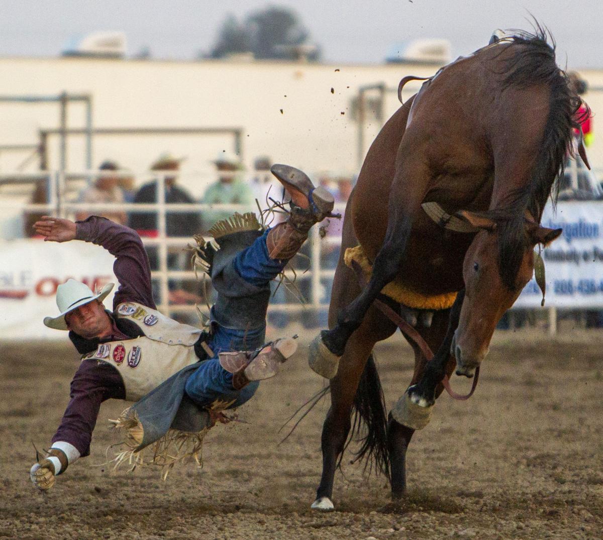 The joy and the pain: Twin Falls County Fair provides opportunity for ...