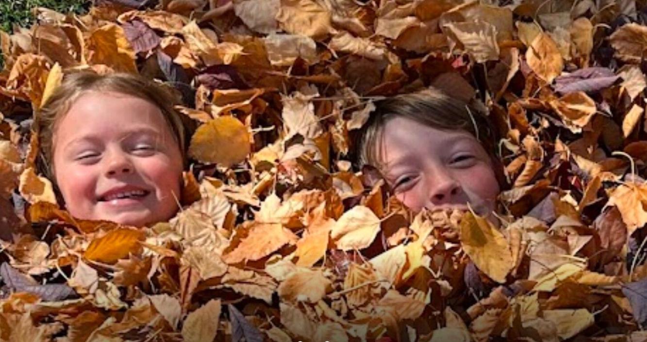 Children injured by tree receive donations