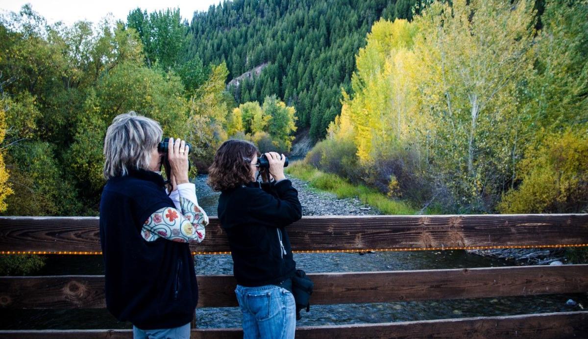 Bird Walk Features Draper Preserve