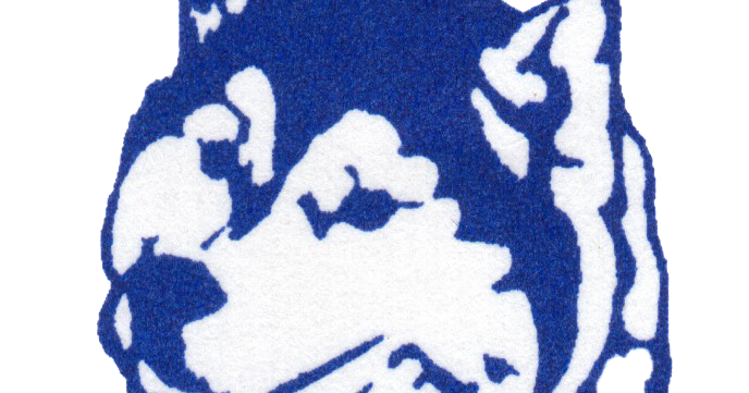 2017 High School Football Preview: Camas County Mushers