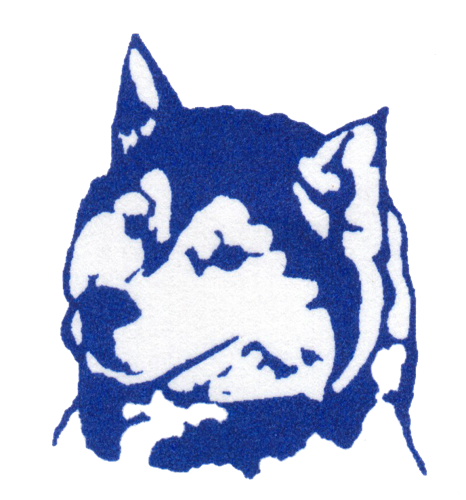 2017 High School Football Preview: Camas County Mushers