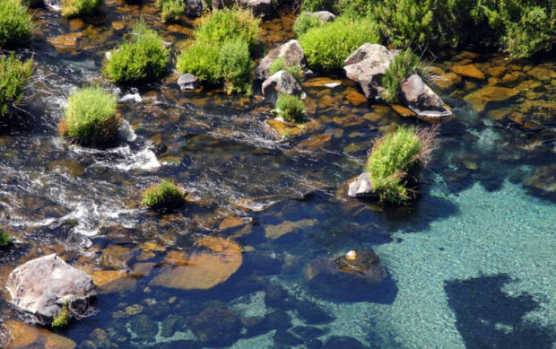 BLOG: Hiking Thousand Springs State Park