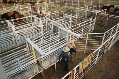 Gallery: Gooding Pro Rodeo