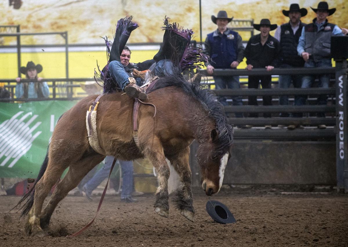 CSI's Allen set for home rodeo after hernia surgery