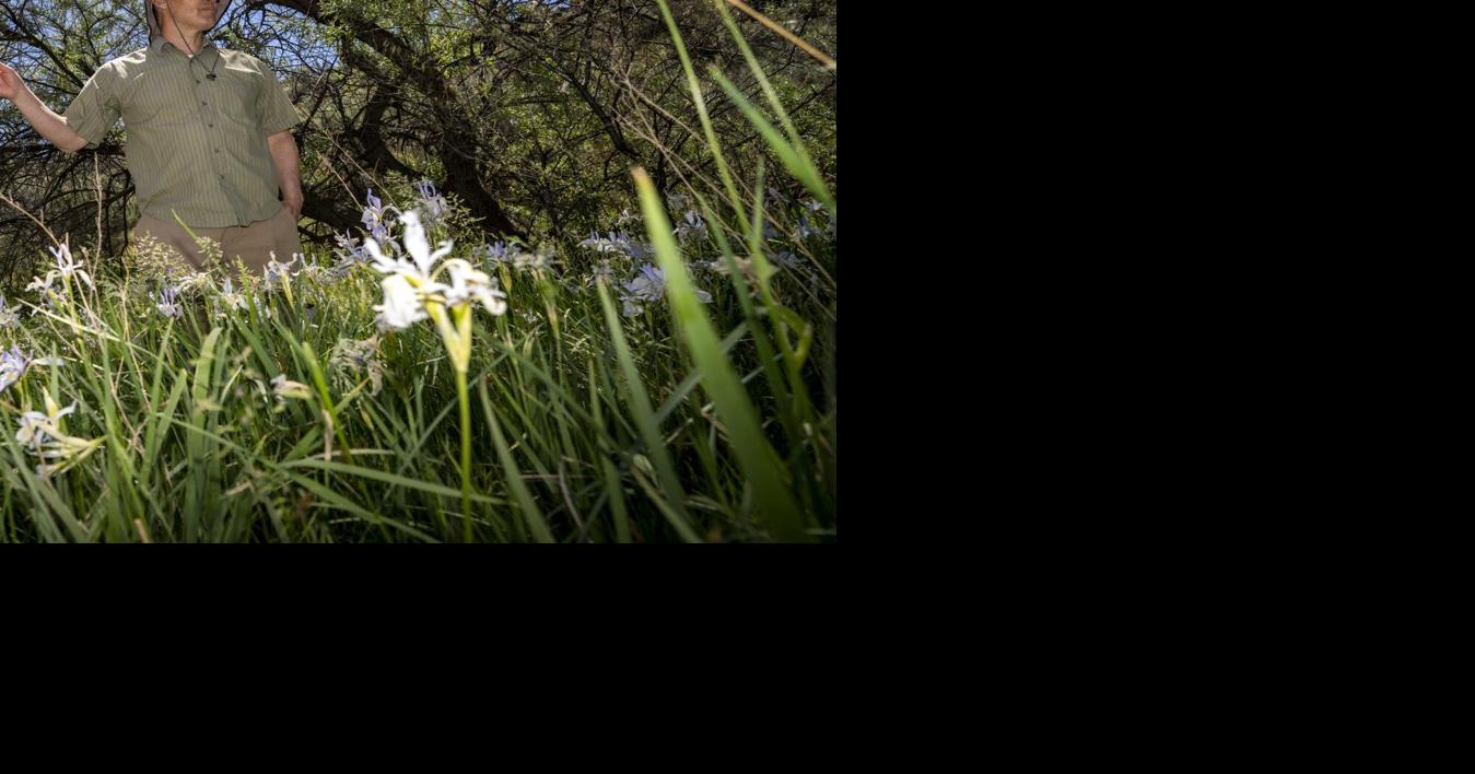 Twin Falls couple grants Magic Valley Land Trust 330 acres