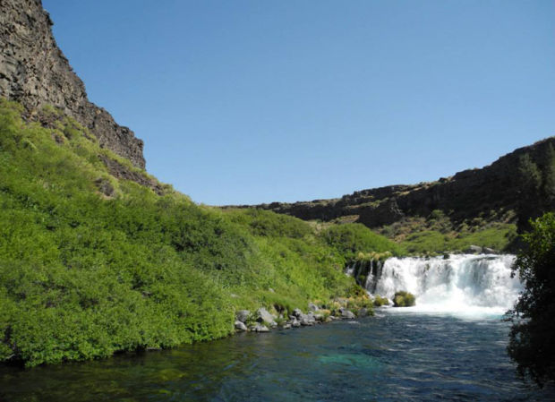 BLOG: Hiking Thousand Springs State Park