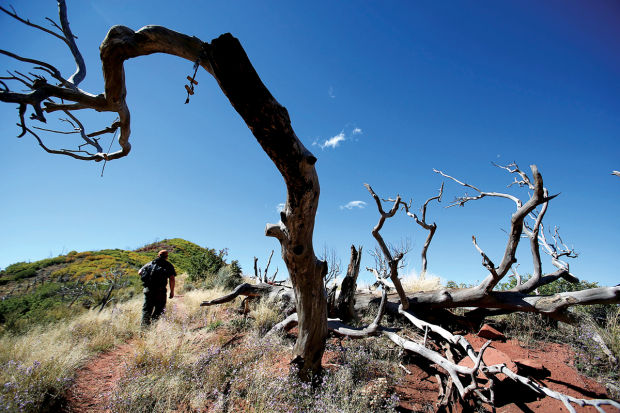 Remembering Those Who Died in the South Canyon Fire