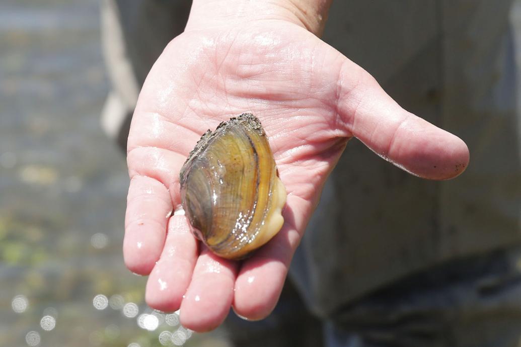 Expert's guide to the Hagerman reach: part 1