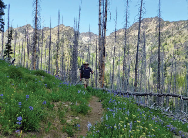 Seven Devils: Scenic Mountains and Hells Canyon