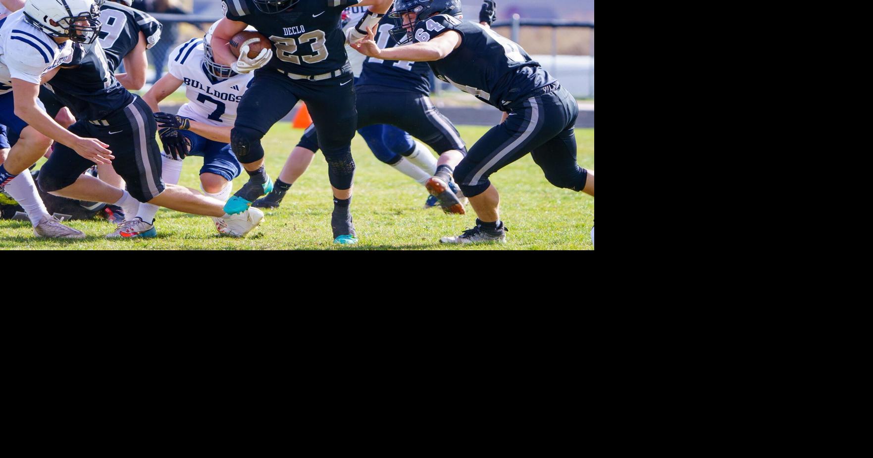 ‘We’ve always believed in ourselves’: Declo makes first state title ...