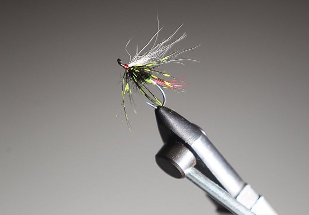 Fish and Game to Stock Steelhead in Boise River