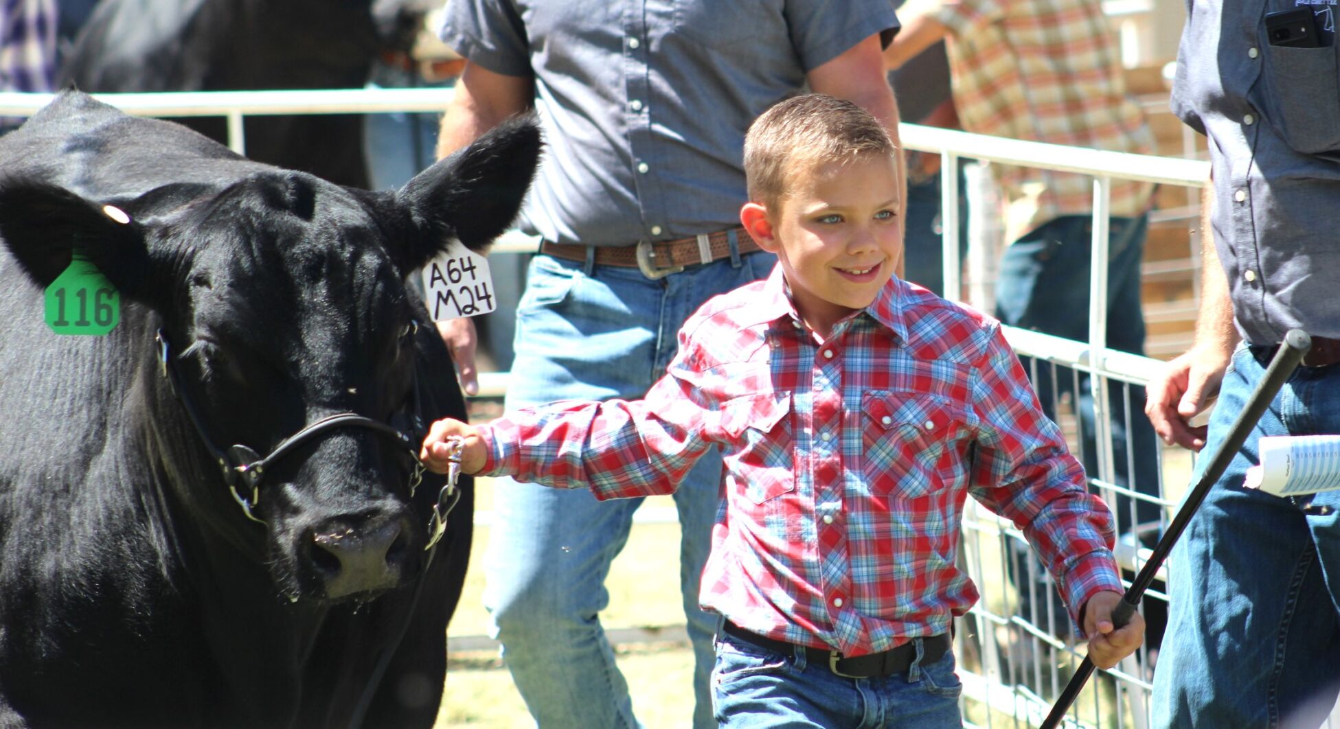 Animals, fun and suspense at the Jerome County Fair