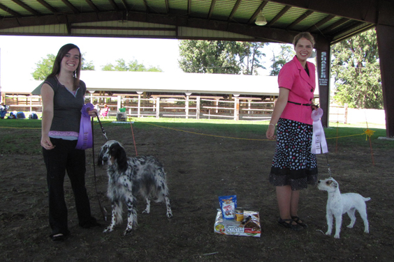 4-H dogs on display at district show