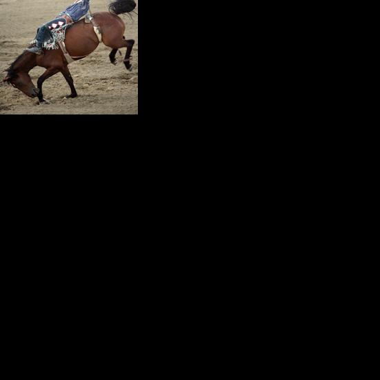 Two local rodeo committees were honored for making ground safe and ...