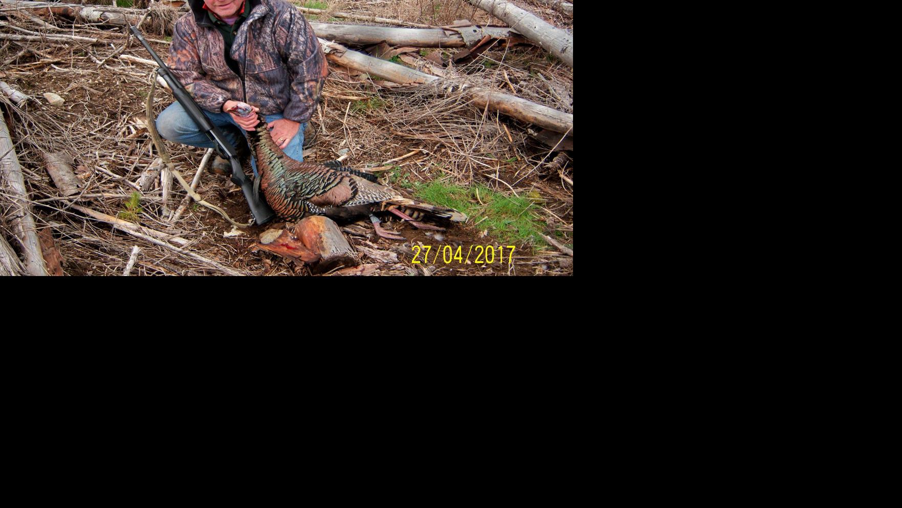 Shooting the bull: Using too much gun | Outdoors and Recreation ...