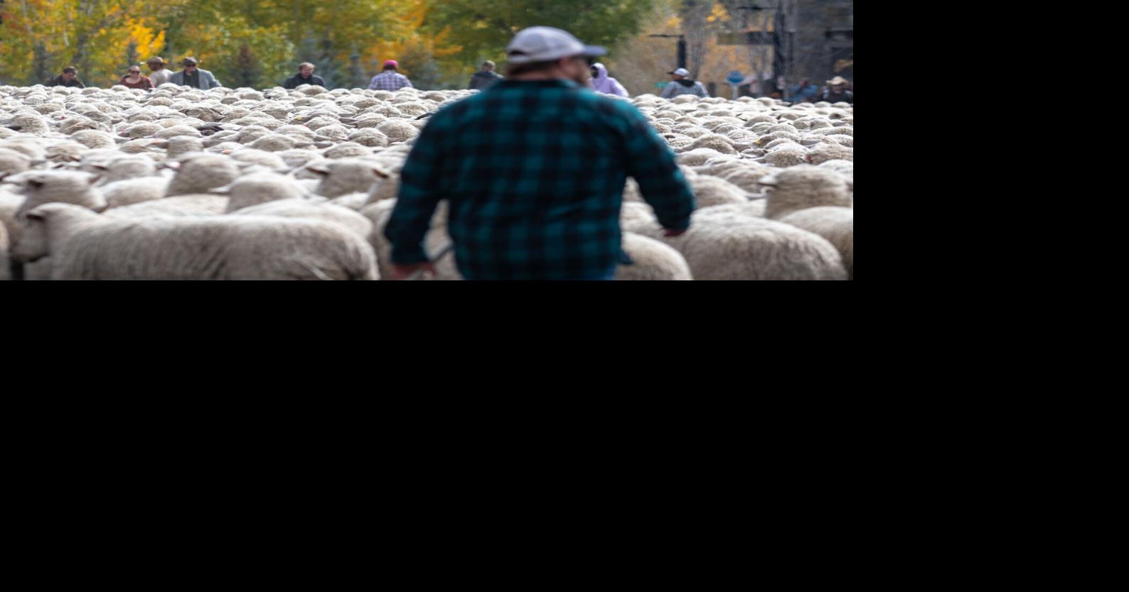 Magic Valley news briefs