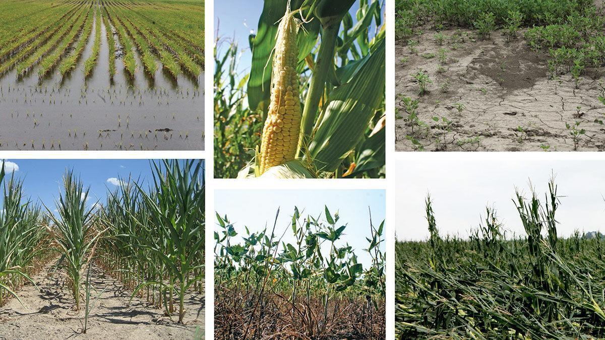 Climate change forces cropping changes as average temps rise