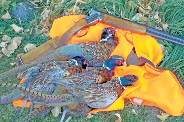 Shooting the Bull: Gun Maintenance Tools of the Trade