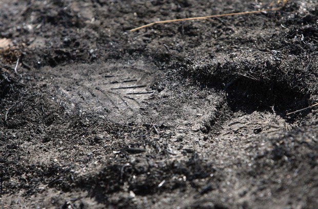 Burned Hagerman Fossil Beds will take years to recover