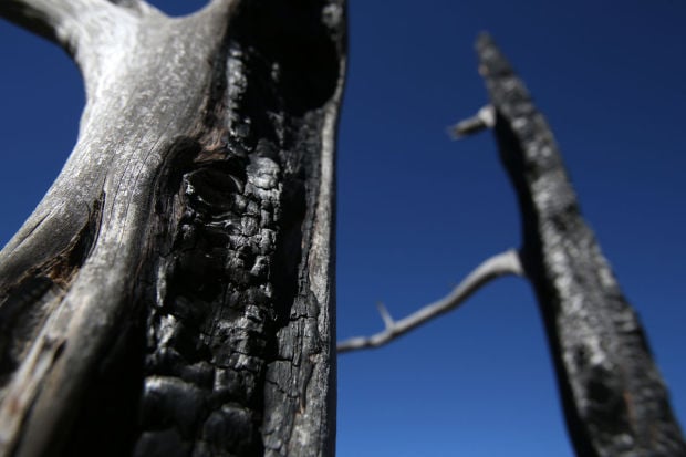 Remembering Those Who Died in the South Canyon Fire