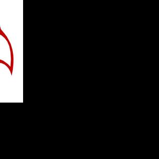 Canyon Ridge track and field wins Preston Invite