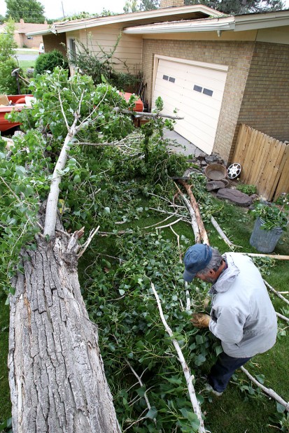 Wind Leaves Downed Trees and Damaged Equipment in Its Wake | Local ...