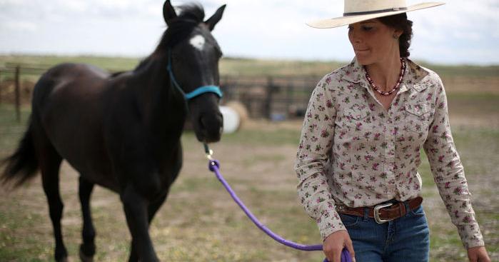 Gallery: Taming Wild Mustangs