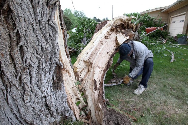 Wind Leaves Downed Trees and Damaged Equipment in Its Wake