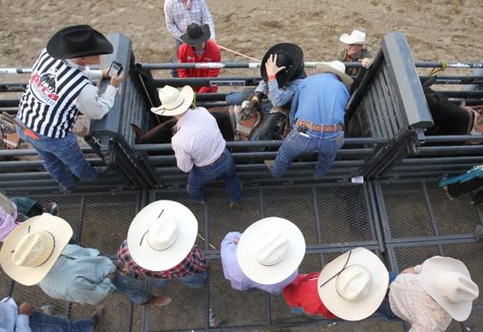 Gallery: Gooding Pro Rodeo