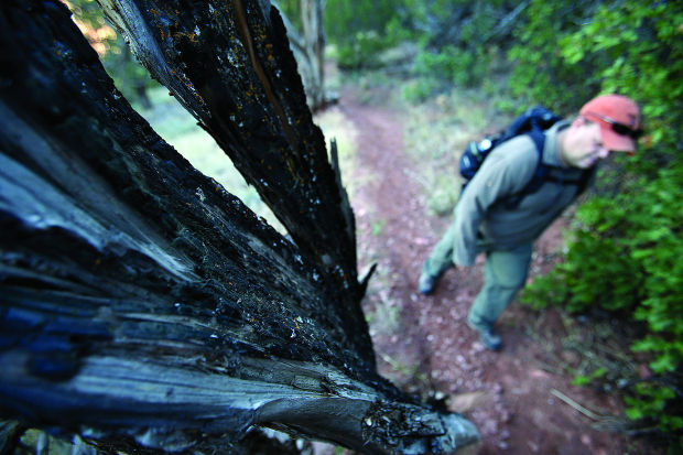Remembering Those Who Died in the South Canyon Fire