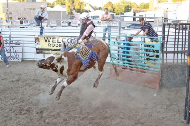7 Reasons to Catch the Gooding County Fair