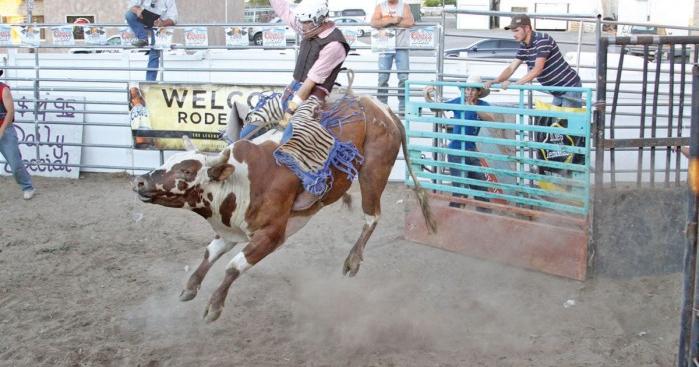 7 Reasons to Catch the Gooding County Fair